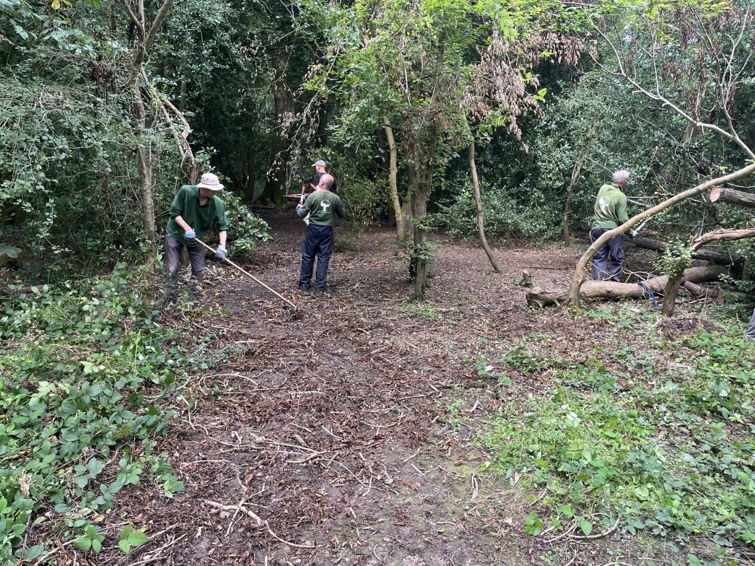 Monken Hadley Common Trust | Tree work