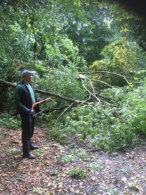 Monken Hadley Common Trust | The Monken Hadley Common Conservation ...